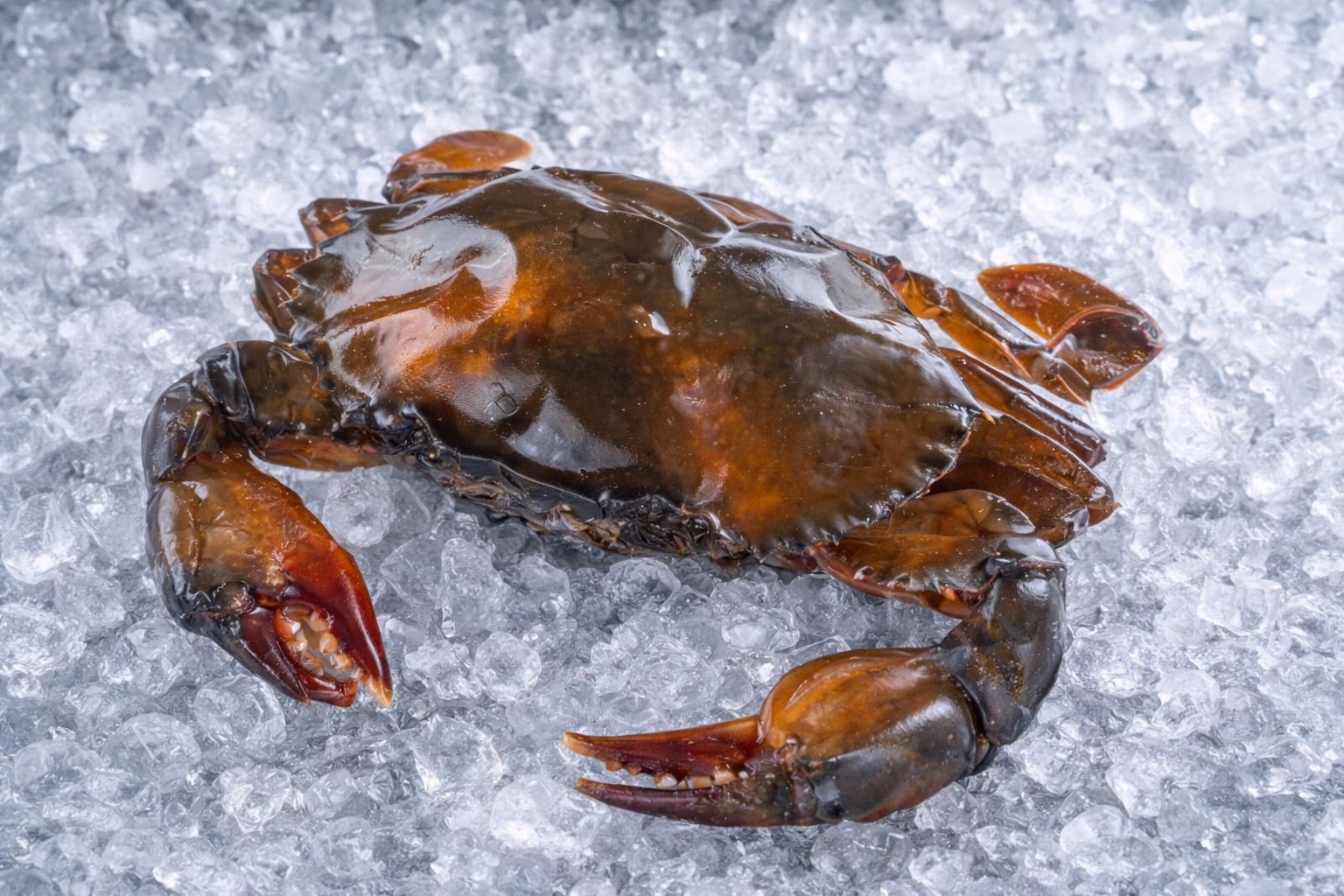 Soft Shell Crab | TML Frozen Food